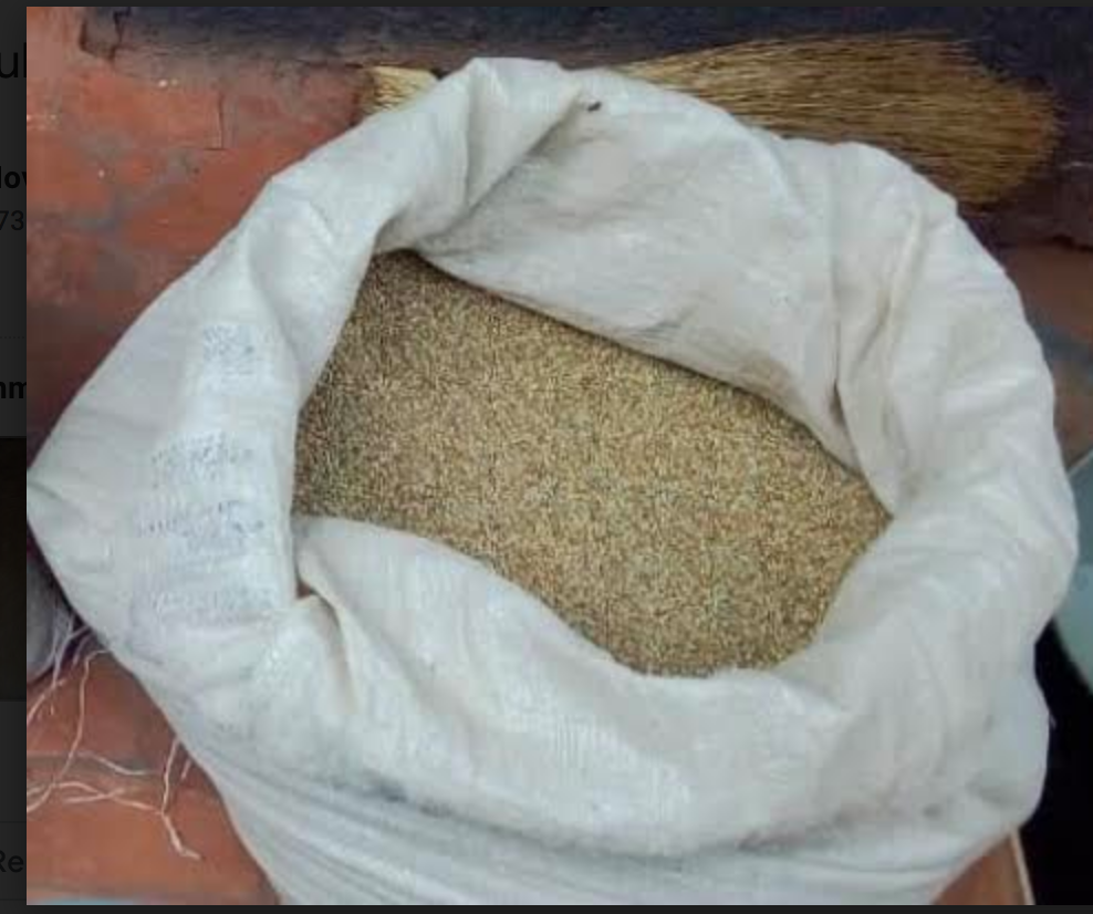 News – Fishersecotourism – Inhaka